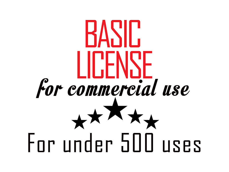 Basic Commercial License for Commercial Use of Patterns, Graphic Desig ...